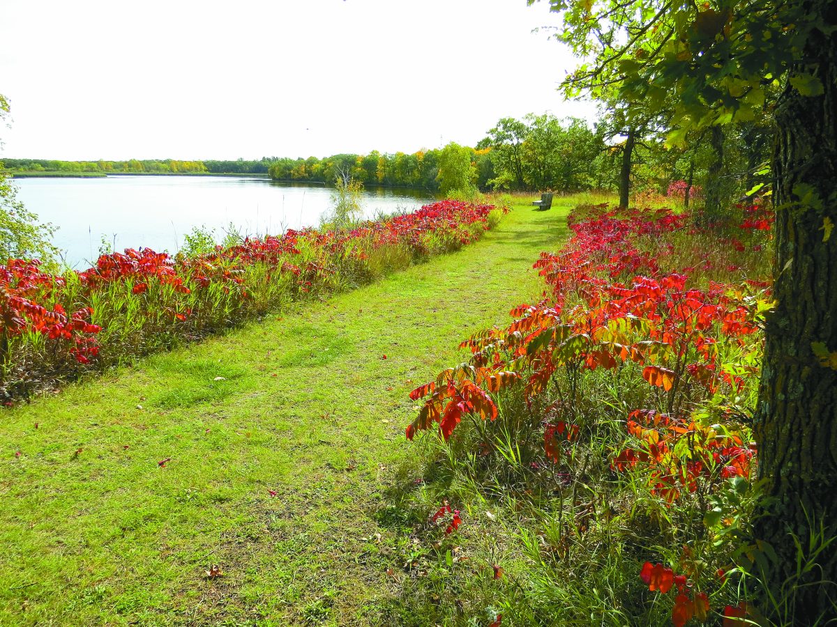 LBSP on 10 Fall Hikes list from Explore Minnesota – The Kittson County ...