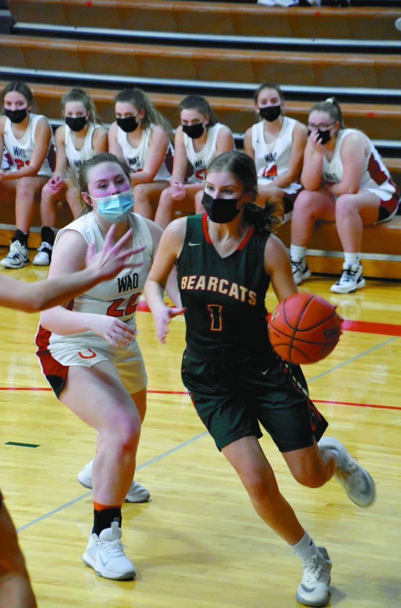 Bearcats girls baseketball has a tough week of losses – The Kittson ...