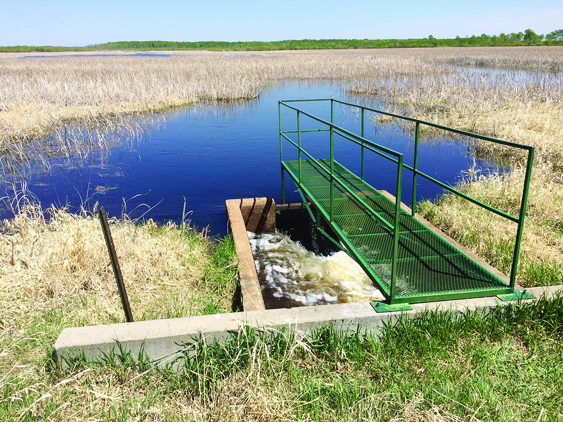 Skull Lake WMA to get new water control structure – The Kittson County ...